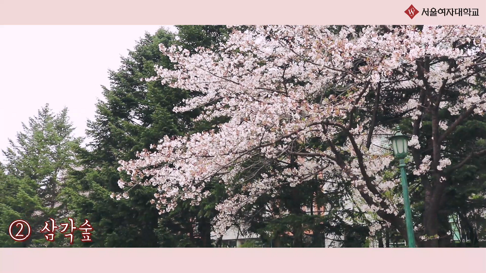 서울여자대학교