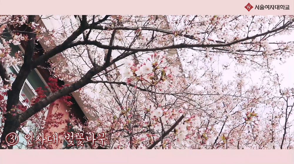 서울여자대학교